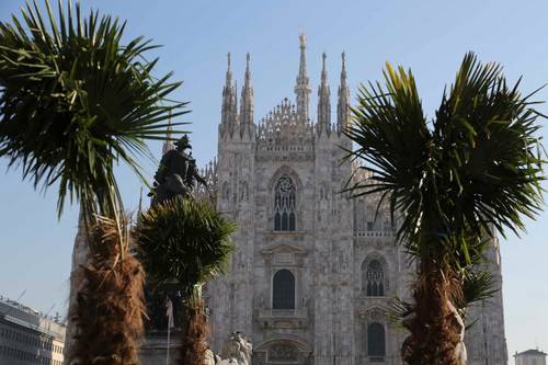 Vandals Burn Controversial Palm Trees in Milan